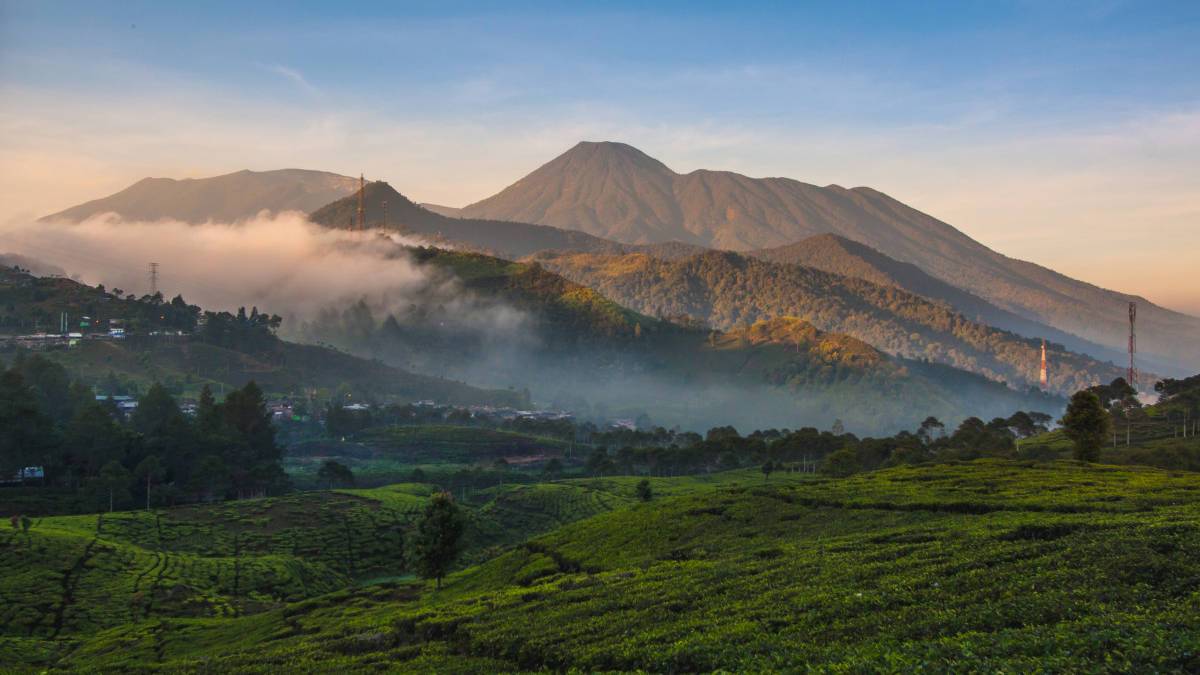 Mendaki Gunung Gede Pangrango dan Hutan Titipan Leluhur yang Terancam ...